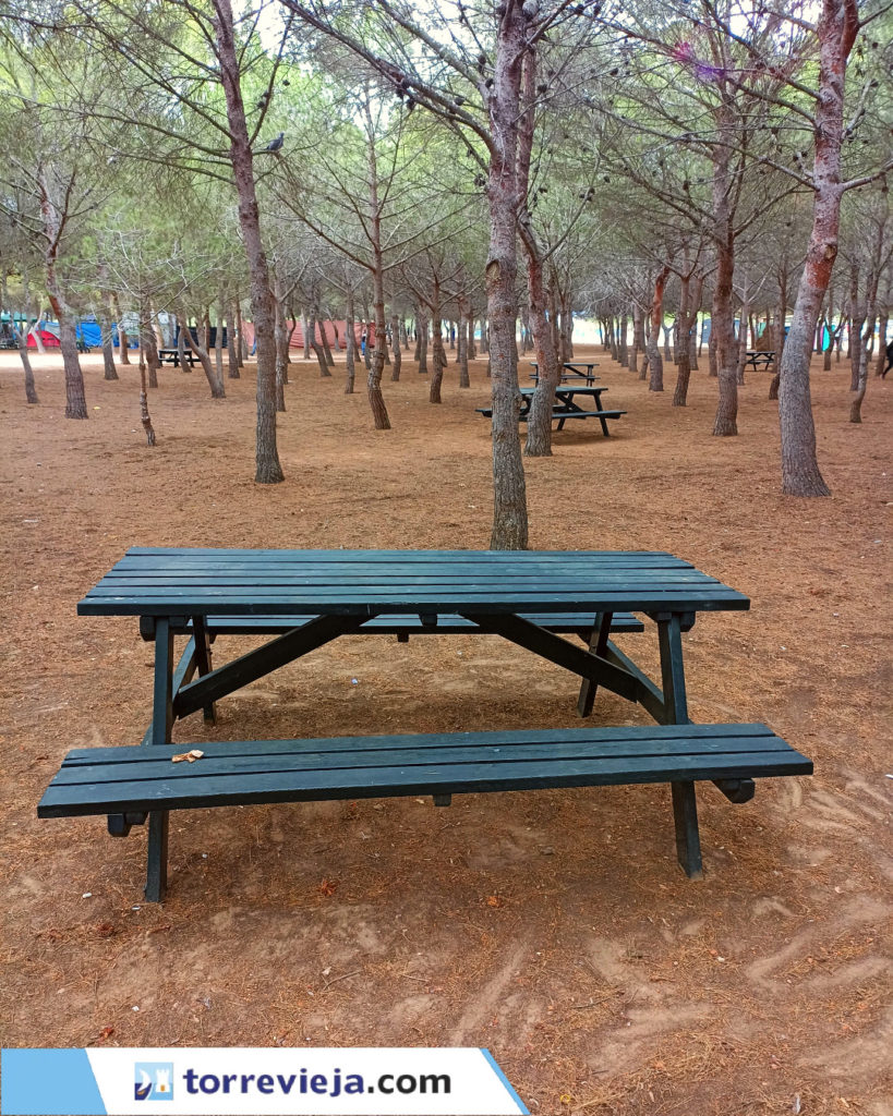 Home - Torrevieja.com portal de turismo
